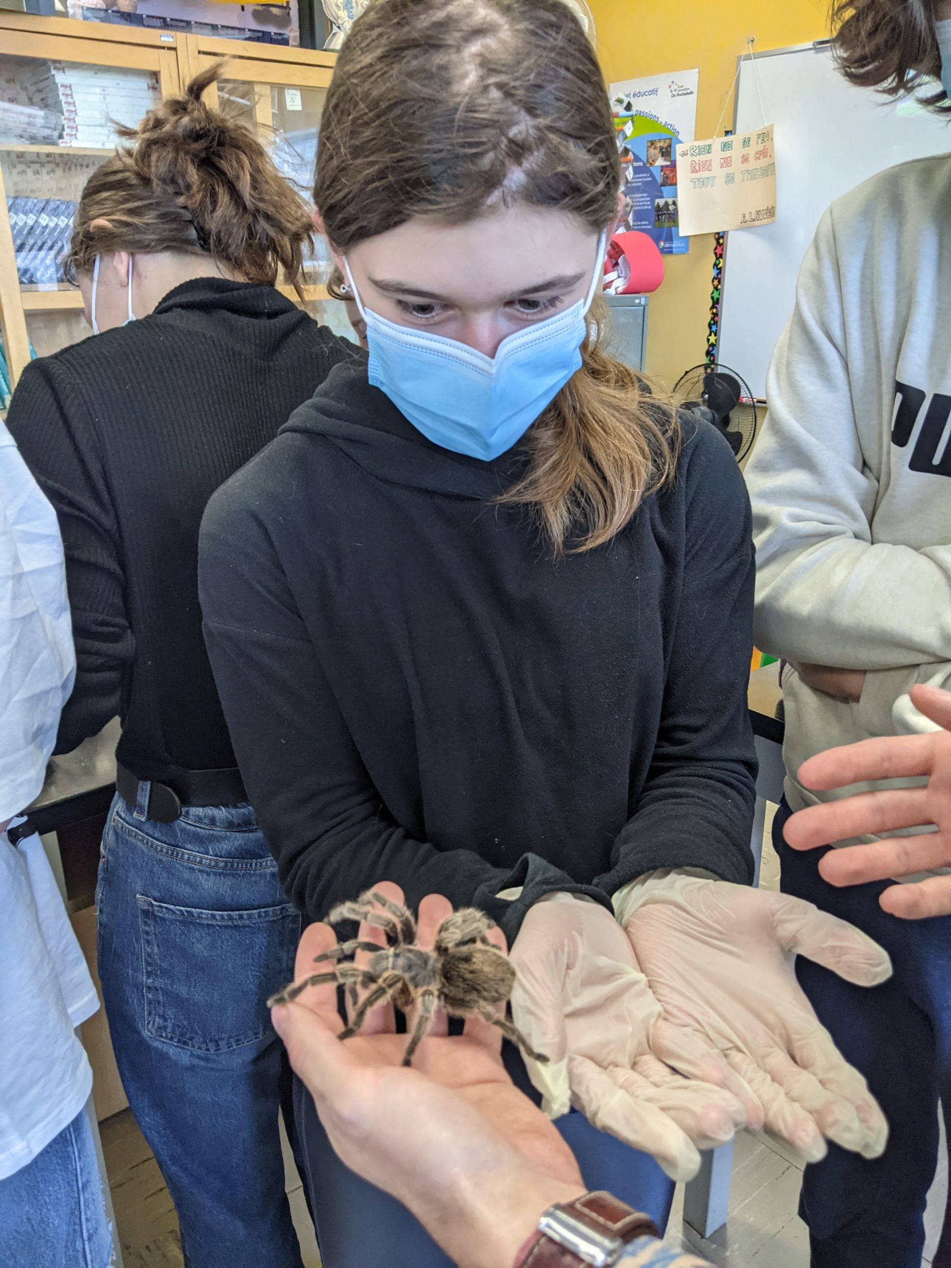 La bibitte mobile à la rencontre des élèves de deuxième secondaire ...